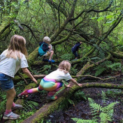Nature Based Learning | The Walnut Barn